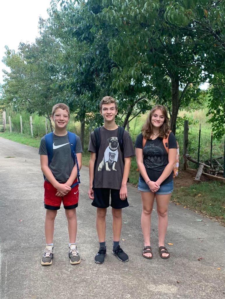 Pixel Perfect Project